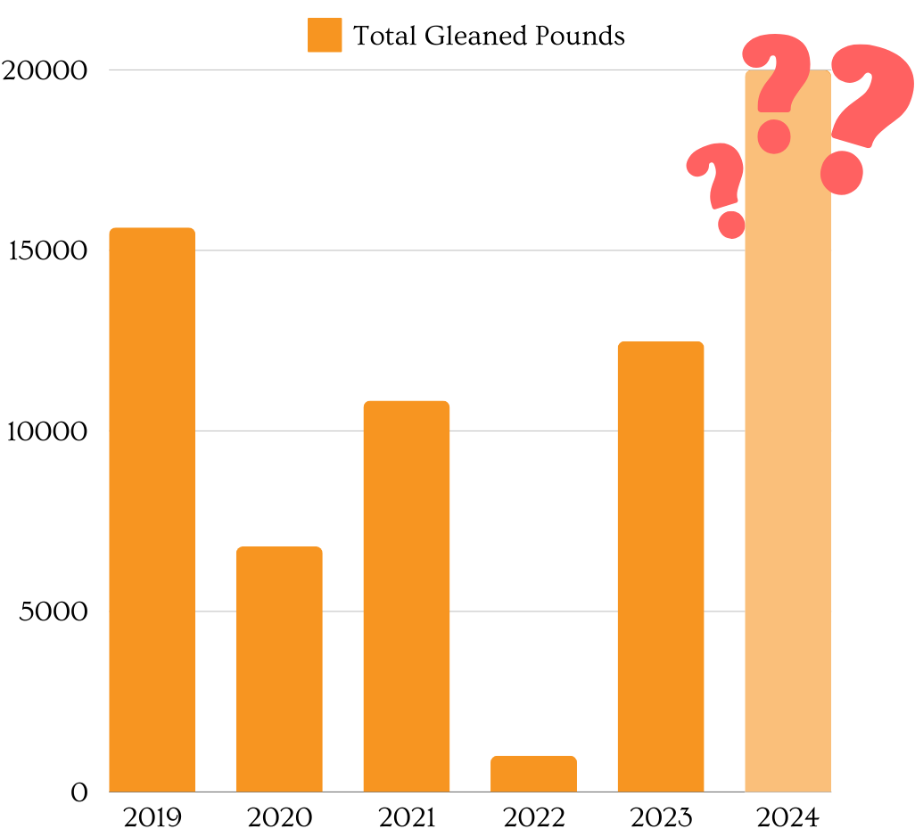 Fruit Tree Gleaning | Rescue Backyard Fruit in Kitsap County | Kitsap ...